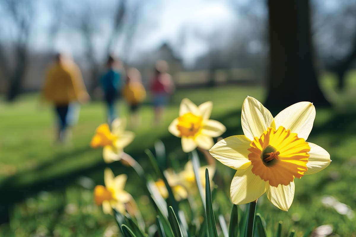 Take time to enjoy smells and colors of spring - Italian American Herald